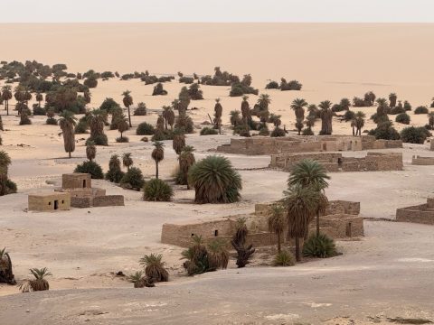 TOUR (06-15/04 2025) Libyan Eastern Coast & Desert